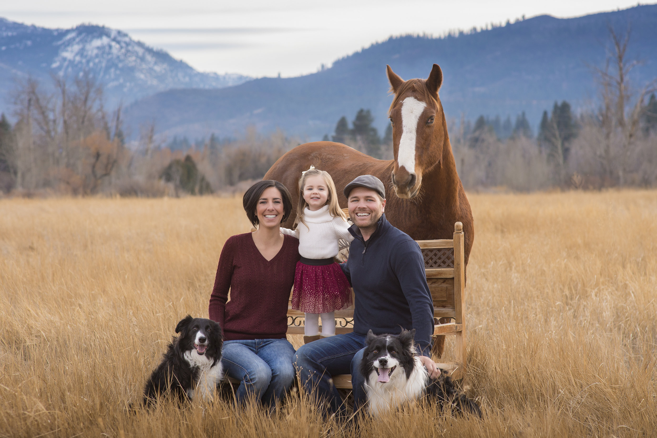 About Nick Higman - Nick Higman Photography